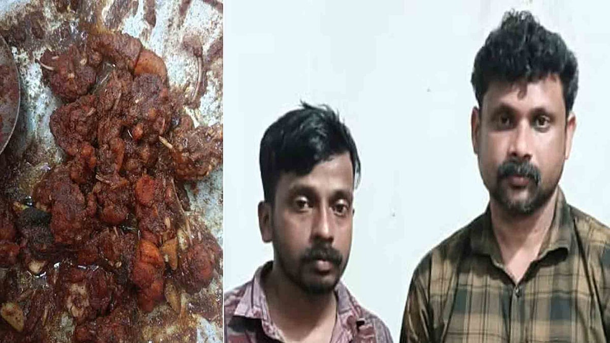 പെരുമ്പാമ്പിനെ കൊന്ന് 'ഫ്രൈ'യാക്കി കഴിച്ചു; രണ്ടുപേര്‍ പിടിയില് ...