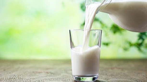 അങ്കണവാടികളില്‍ പാലും മുട്ടയും മുടങ്ങരുത്: മനുഷ്യാവകാശ കമ്മീഷന്‍ | Must ...
