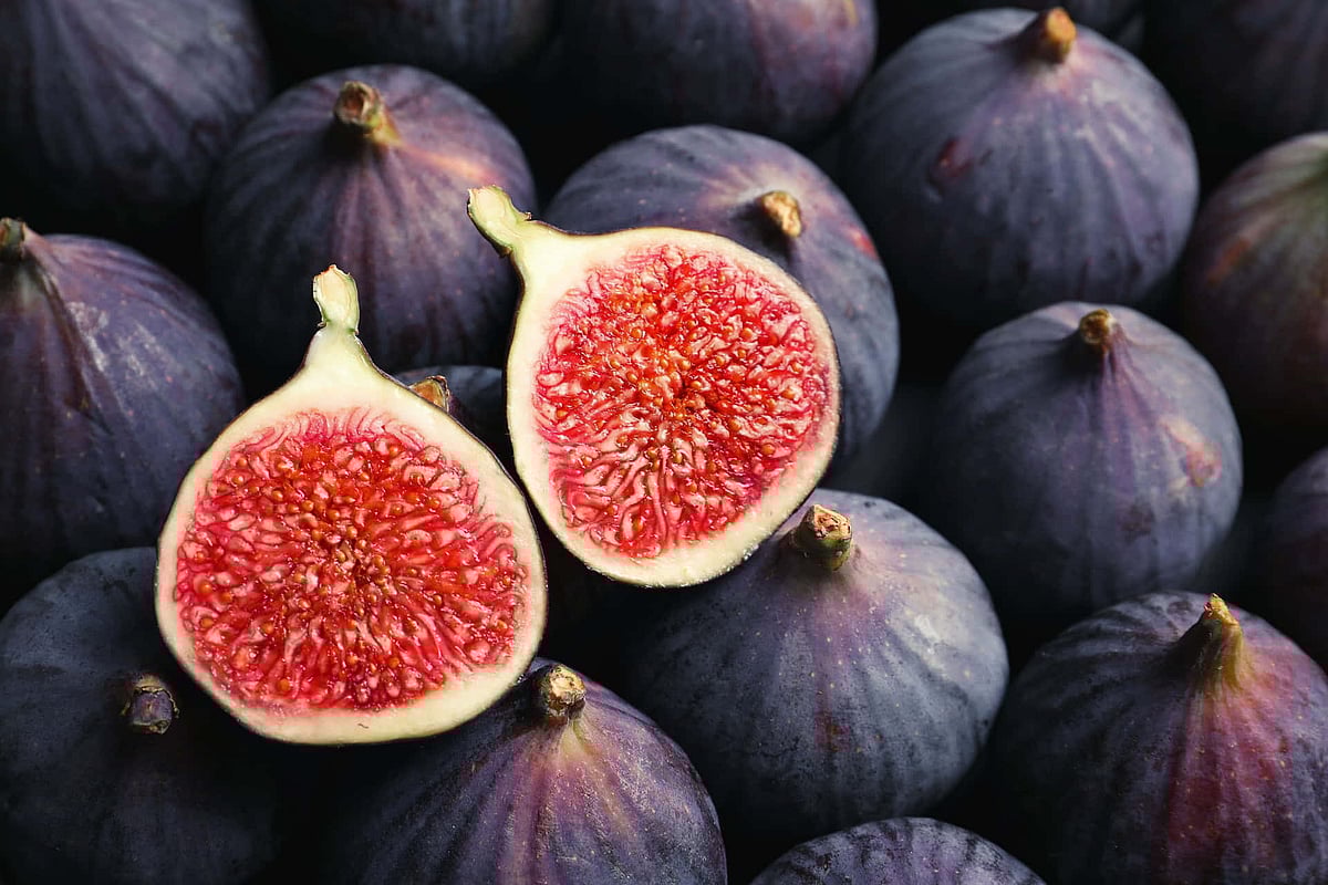 Health benefits of figs:'പ്രണയം പൂവിടുന്ന കാലം'; അറിയാം അത്തിയുടെ ഔഷധ ...