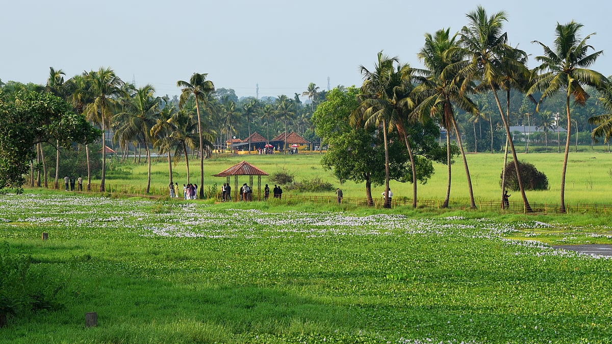 Kadambrayar: മുഖം മിനുക്കി കടമ്പ്രയാര്‍, കൊച്ചിയുടെ ടൂറിസം ഭൂപടത്തിലേക്ക്