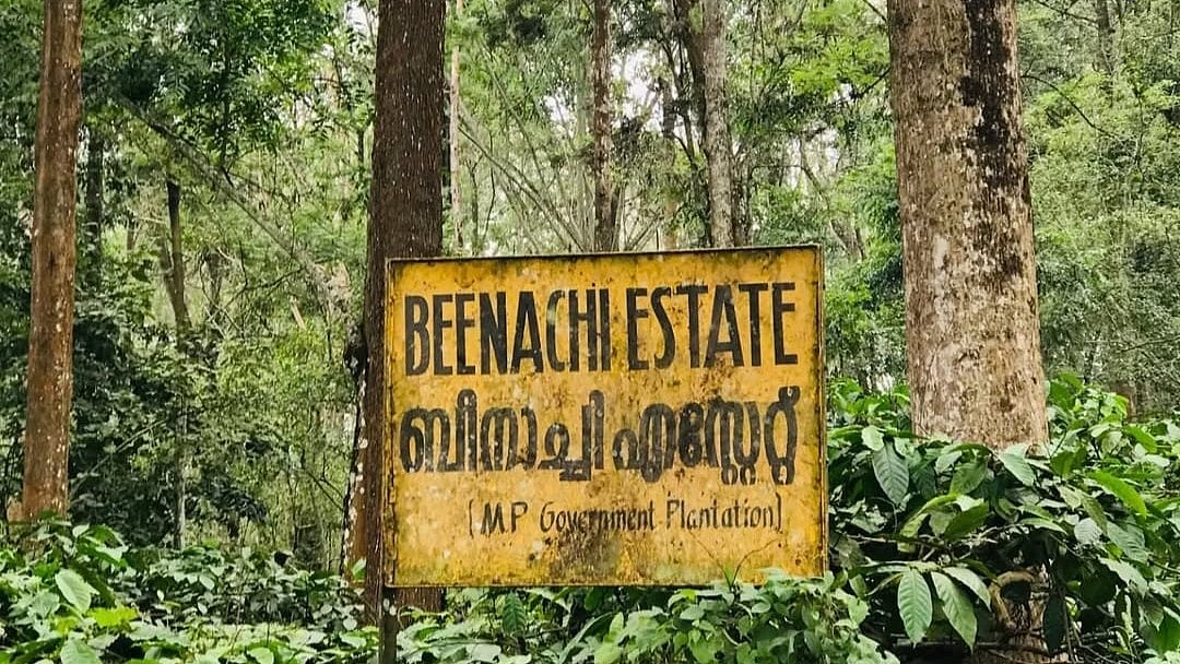 മധ്യപ്രദേശിന്റെ ബീനാച്ചി എസ്റ്റേറ്റിന്റെ വിപണി മൂല്യം 500 കോടി രൂപ, ഇനി ...