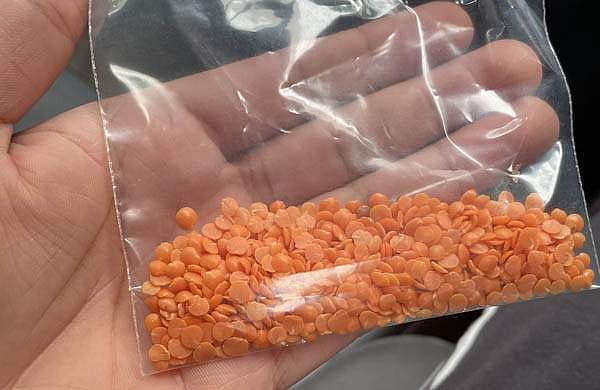 mother gives son daal sample to get from market goes viral in social media